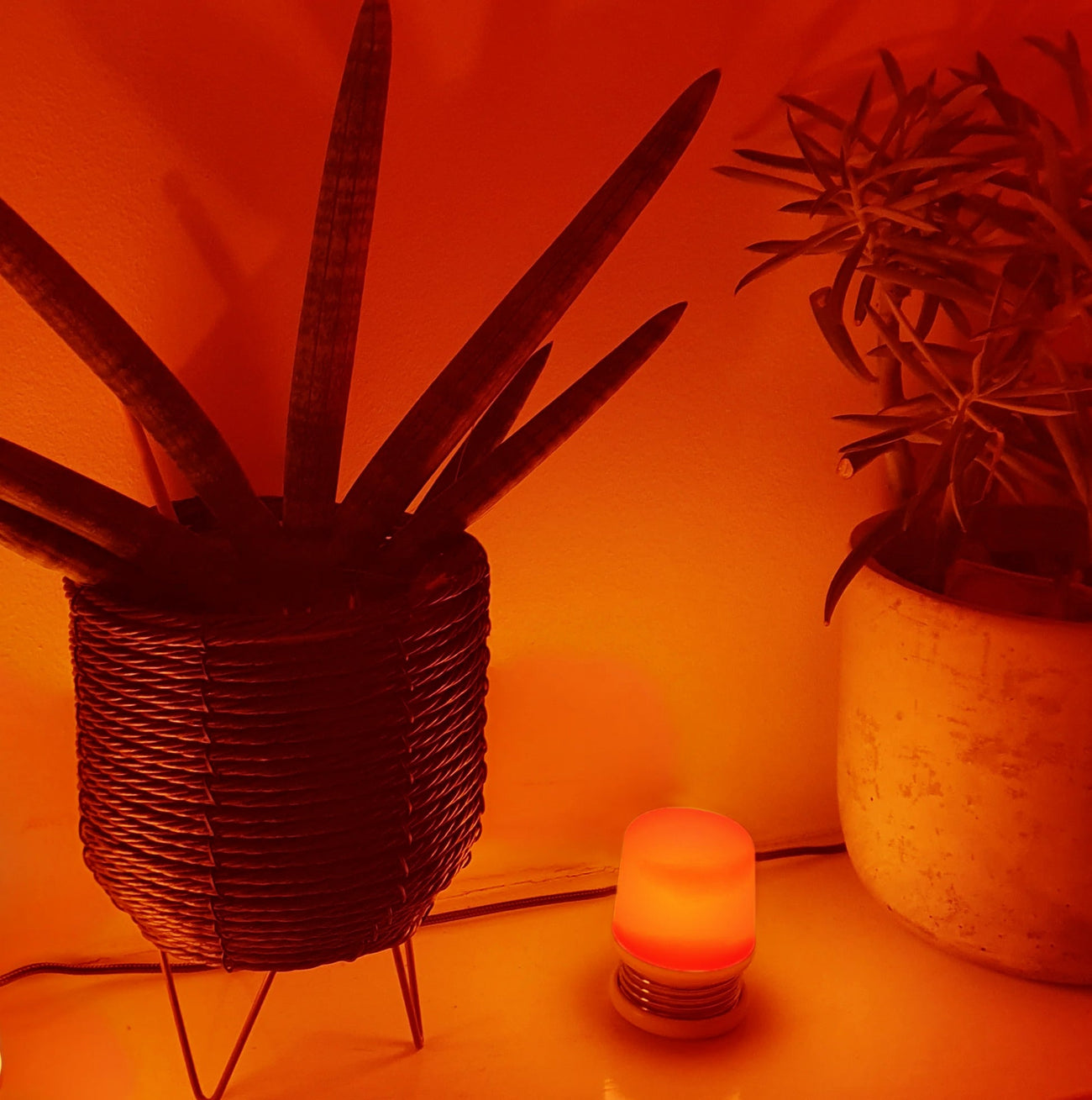 Twilight Red Light Blue Blocking Beacon Light | BlockBlueLight